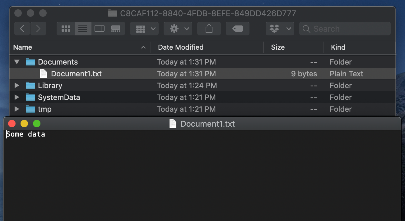 Access application files on iOS simulator