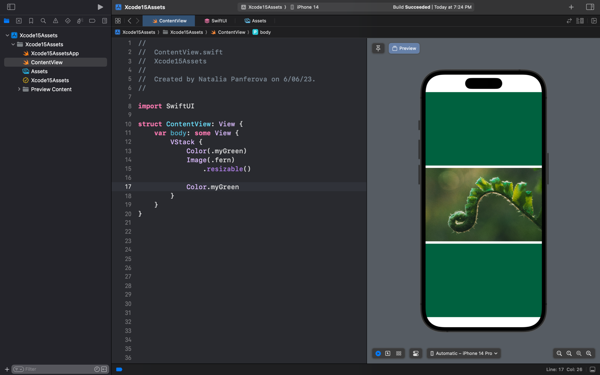 Access Colors And Images From Asset Catalog Via Static Properties In Xcode 15